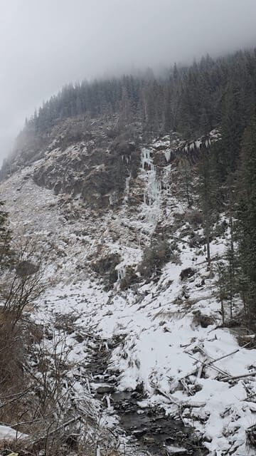 Transfagarasan highway Private tour - What We Love About This Tour