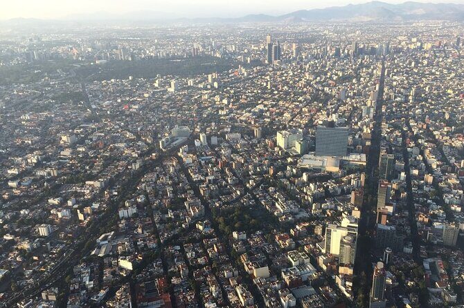 Transfer & assistance one-way from/to Mexico City Airport/hotel - Meeting Points and Pick-Up Logistics
