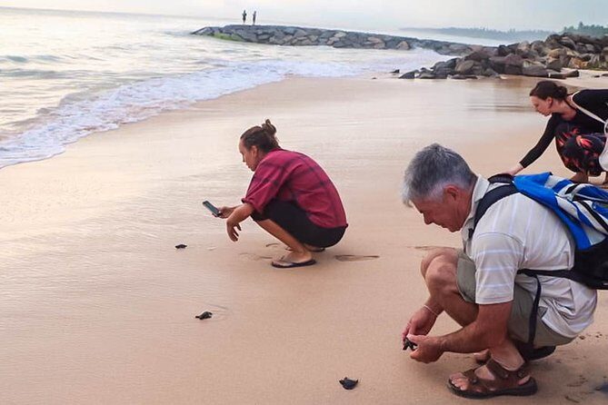 Transfer between Colombo Airport (CMB) and Melheim Resort Kandy, Kandy - Review of the Transfer between Colombo Airport (CMB) and Melheim Resort Kandy, Kandy