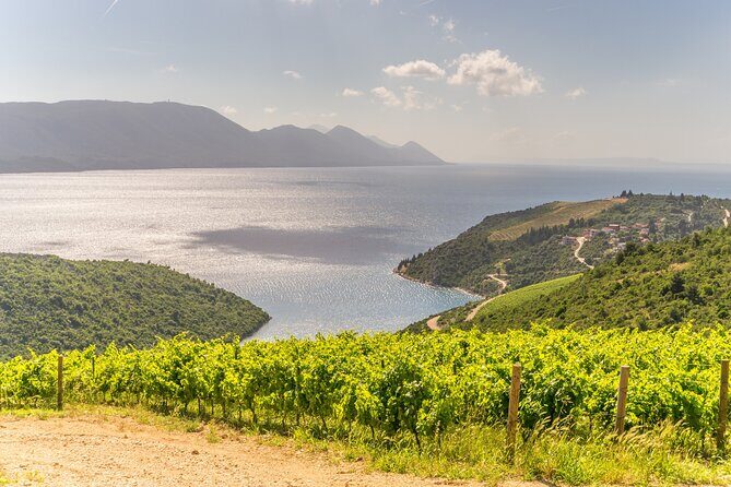 Transfer Dubrovnik to Split with Sightseeing in Ston Town - A Detailed Look at the Experience