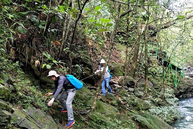 Transfer from Da Nang or Hoi An to Hue via Bach Ma National Park - Key Points