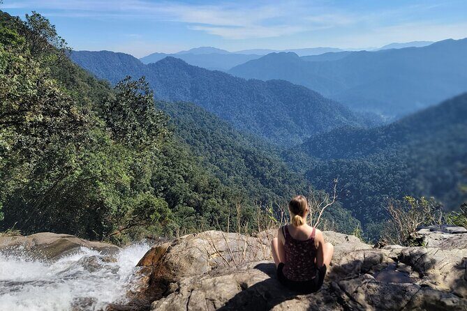 Transfer from Da Nang or Hoi An to Hue via Bach Ma National Park - A Closer Look at the Tour Experience