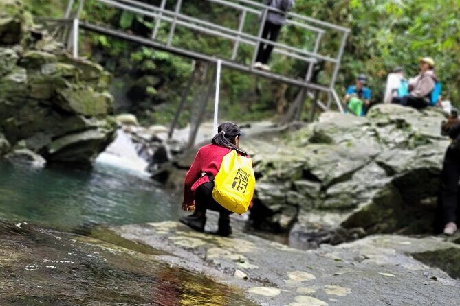 Transfer from Hue to Da Nang or Hoi An via Bach Ma National Park - Why This Tour Offers Great Value