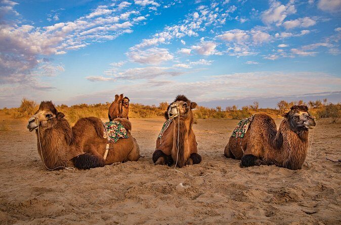 Transfer from Khiva to Bukhara by Fortresses - The Sum Up