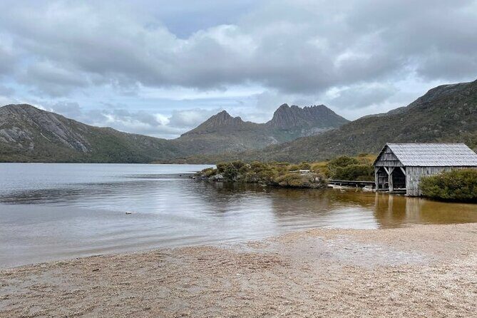 Transfer from Launceston to Cradle Mountain - Who Is This Tour Best For?