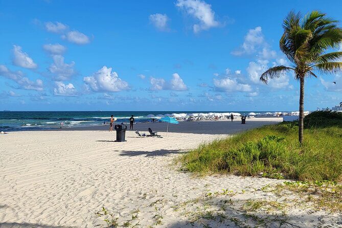 Transfer from Miami Airport to Hotel or Port Miami. Up to 11 pax. - The Real-World Experience: Who Benefits Most?