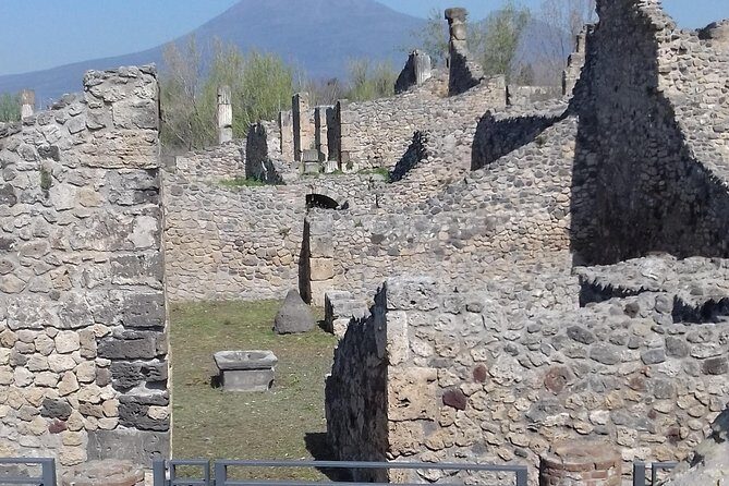 Transfer From Naples area to Sorrento with 2hr stop in Pompeii - Introduction