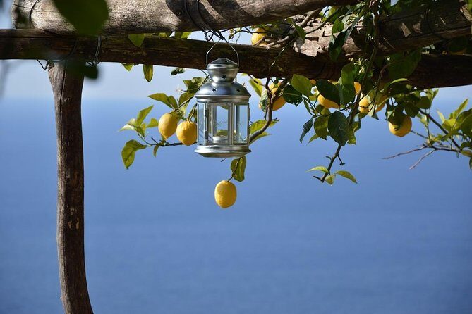 Transfer from Naples to Amalfi or Atrani or Vice Versa - Why Travelers Love It: Authentic Experience and Reliable Service
