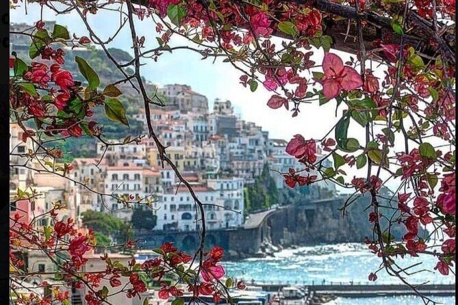Transfer from Naples to Positano with a stop at Pompeii or Positano to Naples - Who Is This Tour Best For?