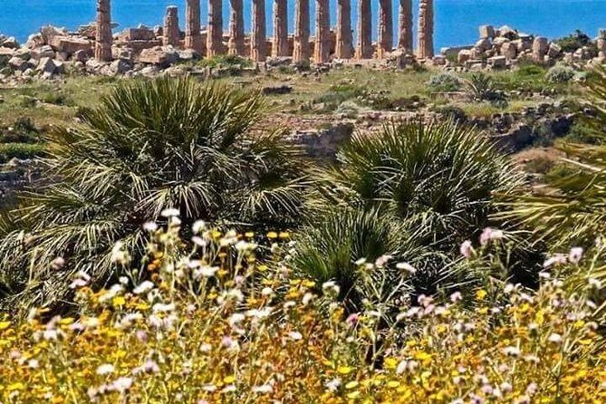 Transfer from Palermo Airport to Verdura Golf Resort Sciacca - Practical Tips for Booking & Travel