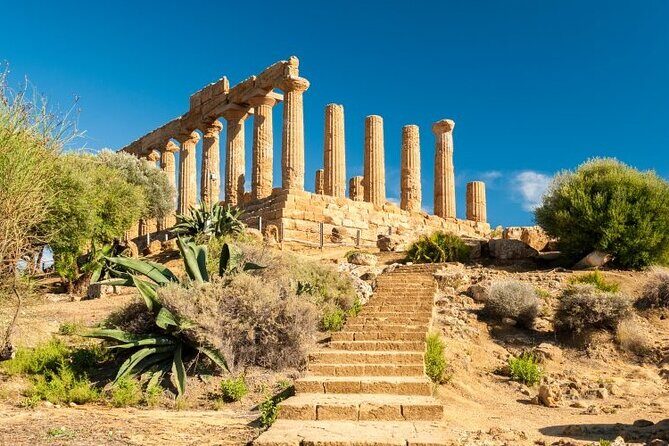 Transfer From Palermo to Catania with a Stop in Agrigento Valley of Temples - A Flexible, Comfortable Ride: The Transport and Service