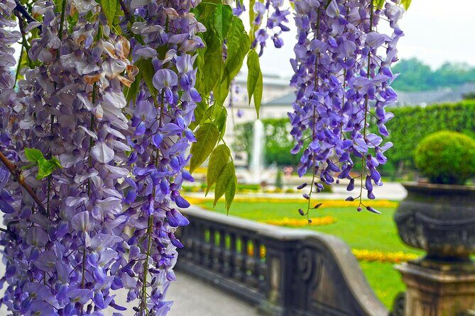 Transfer from Vienna to Salzburg: Private daytrip with 2 hours for sightseeing - Exploring Your Sightseeing Options