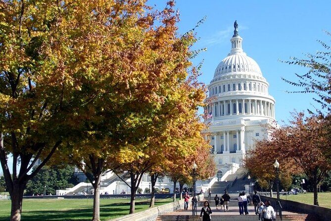 Transfer from Washington DC to Dulles International Airport - What the Experience Looks Like