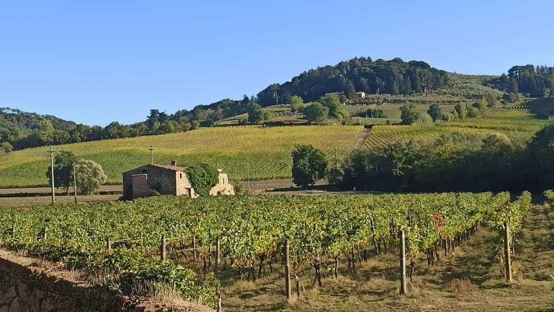 Transfer Siena-Florence with visit to Chianti and tasting - Practical Details and What’s Included