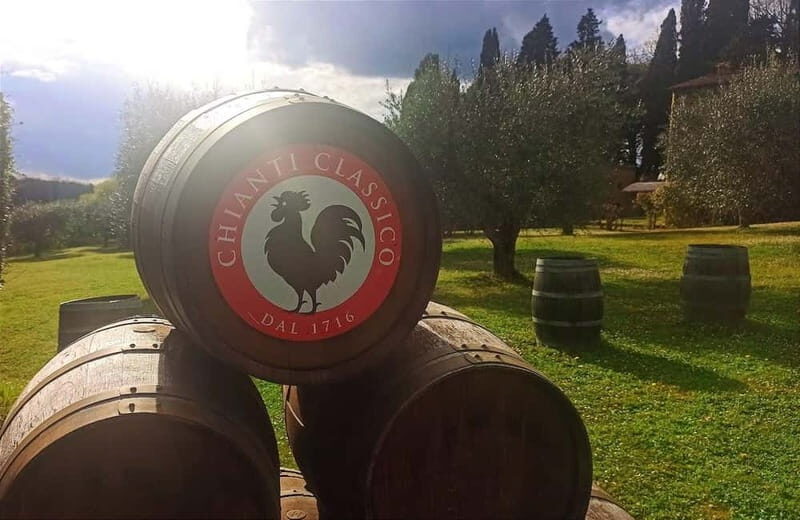 Transfer Siena-Florence with visit to Chianti and tasting - Who Is This Tour Best For?