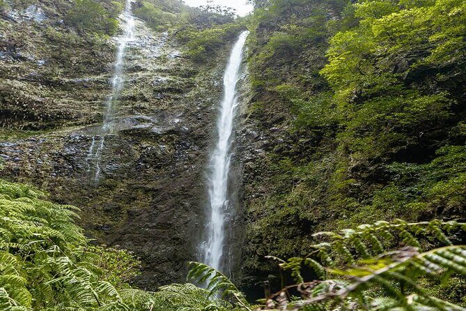 Transfer to Caldeirão Verde Levada Self-Guided Hike Queimadas - Transportation and Practical Details