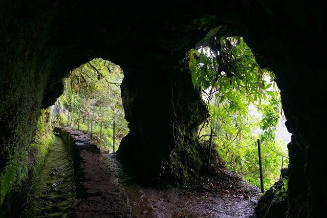 Transfer to Caldeirão Verde Levada Self-Guided Hike Queimadas - Who Is This Tour Best For?