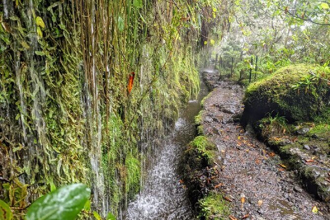 Transfer to Caldeirão Verde Levada Self-Guided Hike Queimadas - Final Thoughts: The Worthwhile Madeira Experience