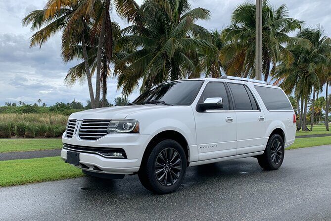 Transfer TO or FROM: Airport,Cruise,Hotel in DORADO or RIO GRANDE - Why Choose This Transfer Service in Puerto Rico?