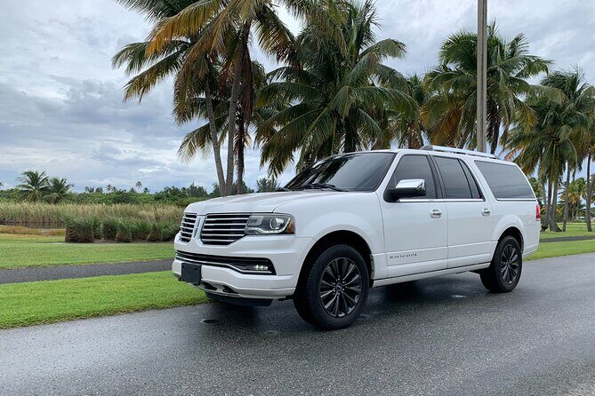 Transfer TO or FROM: Airport,Cruise,Hotel in DORADO or RIO GRANDE - Who Is This Service Best For?