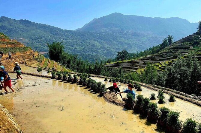 Transfer to or from Sapa in a Sleeper Bus from Hanoi - The Experience in Detail