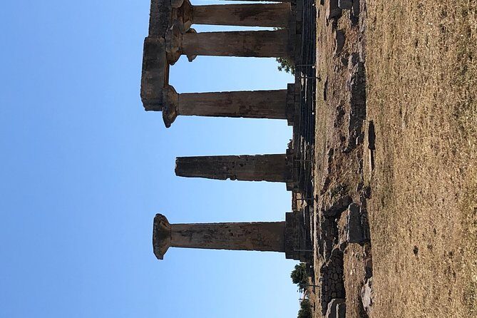 Transfers and Guided Tours in all over Greece, sightseeing and Private hire!! - What Makes This Service Stand Out?