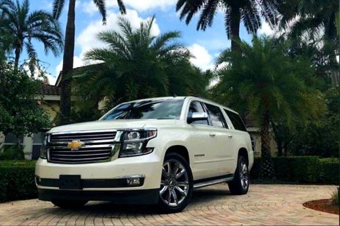 Transfers From & To Punta Cana Dom Rep  All Place at Puerto Plata - Review Highlights and Authentic Experiences