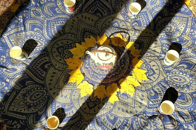 Transformative Forest Escape: A Mindful Journey for Inner Calm - Why Choose This Experience?