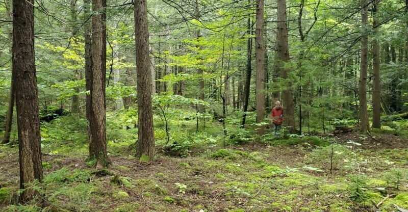 Transformative Forest Escape: Rebalance, Connect, Renew - FAQs