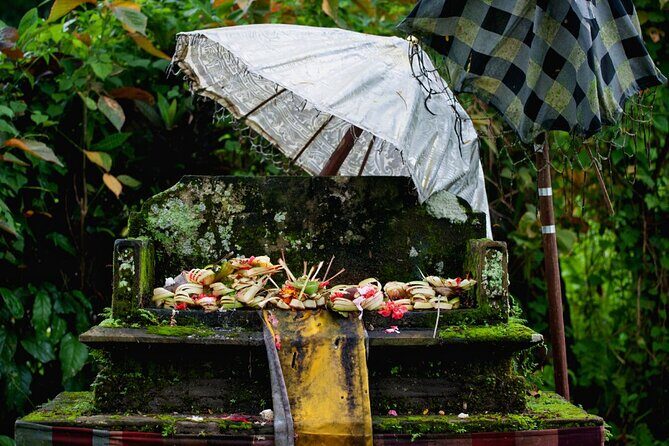 Transformative Journey of Holistic Self-Discovery - What the Tour Offers: An In-Depth Look