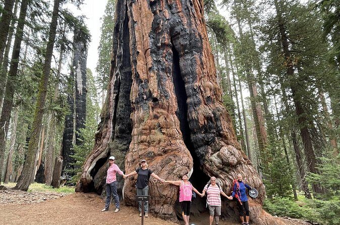 Transformative Outdoor Day Retreat Among the Giant Sequoias - Practical Tips
