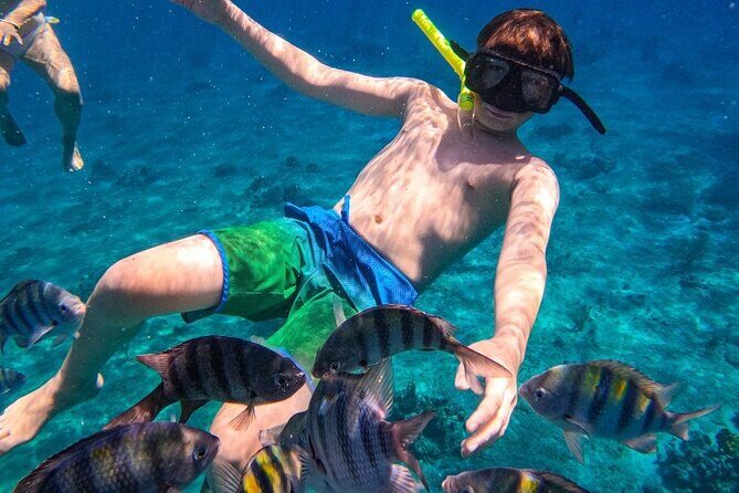 Transparent Boat Experience Cozumel & Snorkeling on Colorful Reef - Final Thoughts: Is It Worth It?