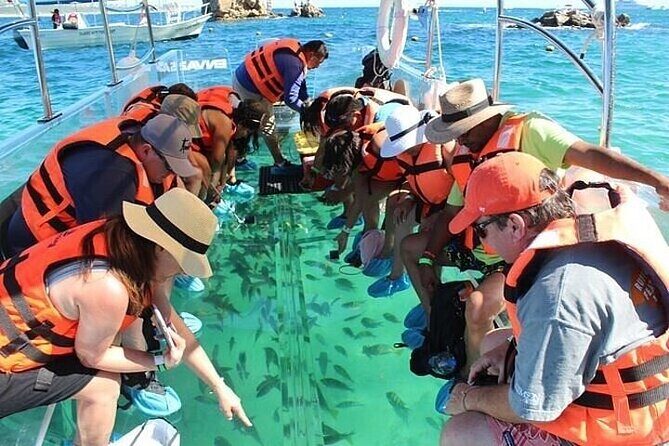 Transparent Boat Tour Cabo San Lucas Arch and Playa del Amor - What’s Included and What’s Not