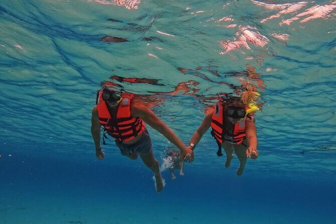 Transparent Boat Tour in Cozumel: See Marine Life Up Close - Is This Tour Right for You?