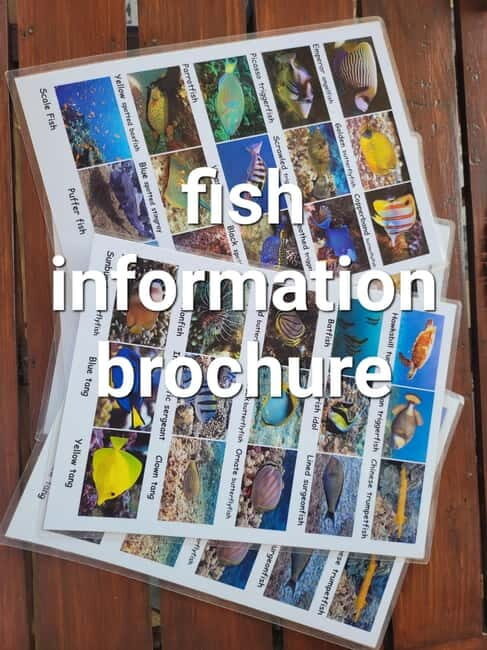 Transparent kayak rental - FAQ: Your Questions Answered