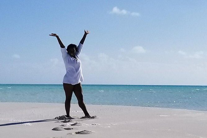 Transportation - What Makes This Transportation Special?