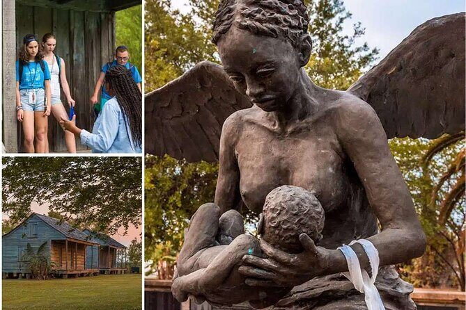 Transportation (Only) to a Plantation - Authentic Experiences and Real Traveler Perspectives