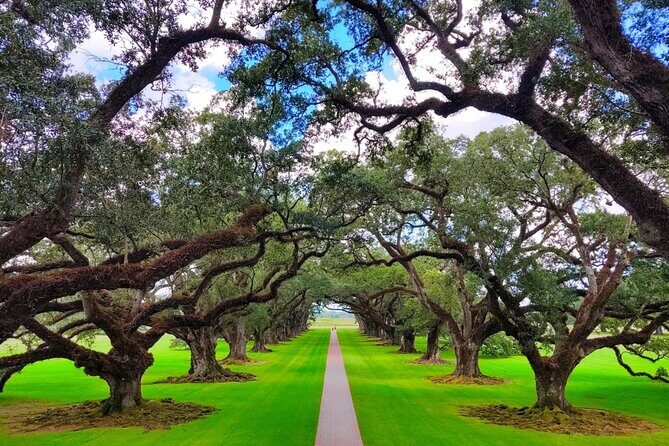 Transportation (Only) to a Plantation - FAQ