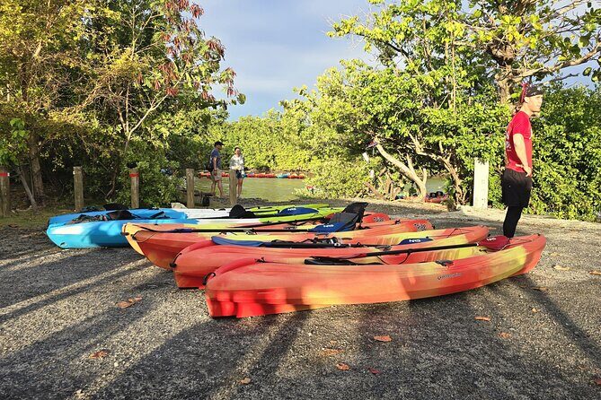 Transportation Service for your Tours already booked at the East! - Insights from Past Travelers