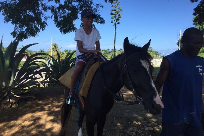Transportation to Horse Back Ride & Swim Adventure from Ocho Rios - An Honest Look at the Horseback Ride & Swim Tour