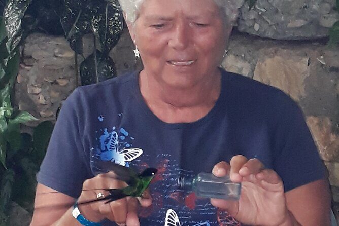 Transportation with Sightseeing to Montego Bay Bird Sanctuary - Who will find this tour most appealing?