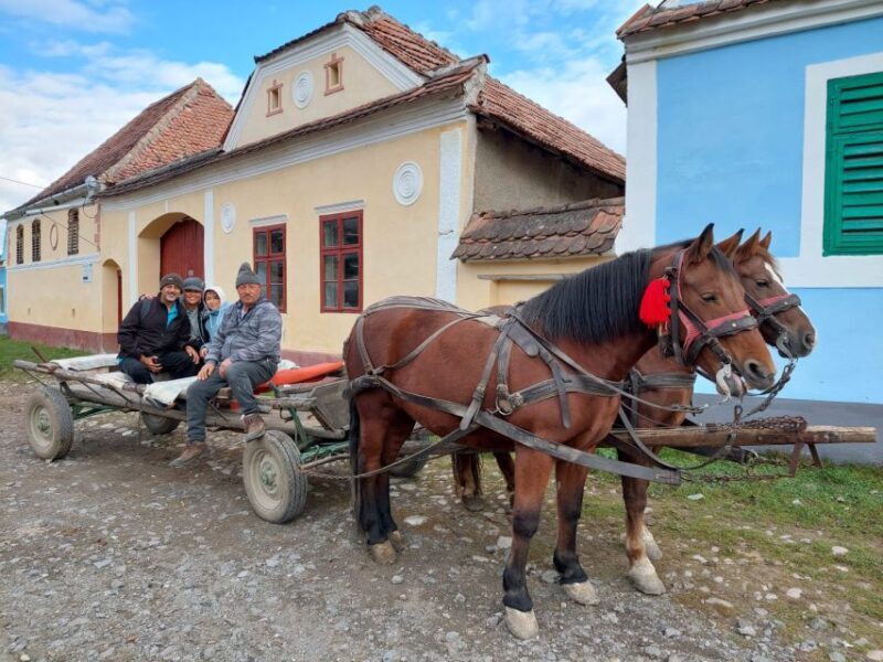 Transylvania Gems: Sighisoara, Medias, Biertan & Gypsy life - An In-Depth Look at the Tour Experience