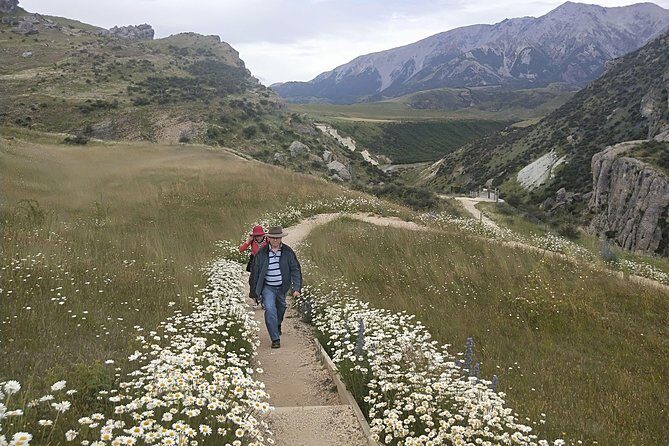 Tranz Alpine Train Tour - Practicalities and Value