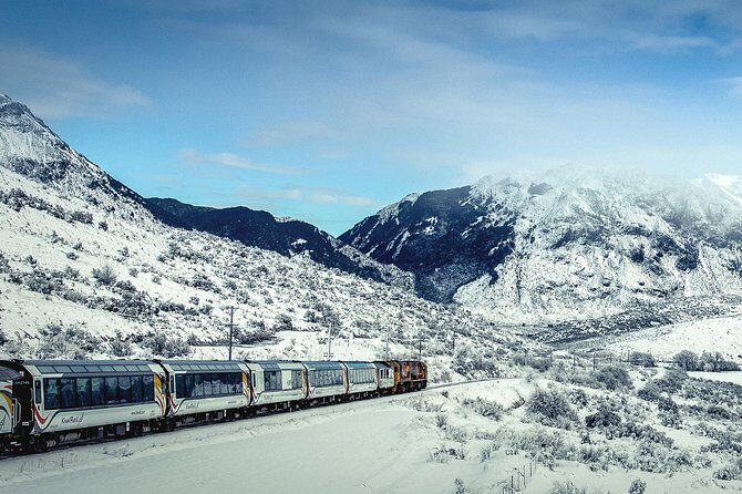 TranzAlpine Train Journey: Christchurch to Greymouth - Practical Tips for Your Trip