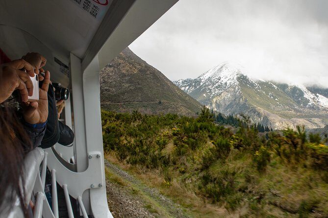 TranzAlpine Train Journey from Greymouth to Christchurch - The Reviews: What Travelers Love & Not
