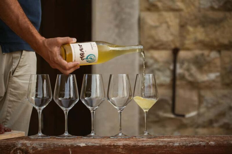 Trapani: Organic Wine Tasting with the Producer - Introduction: A Taste of Sicily’s Authentic Wine Culture
