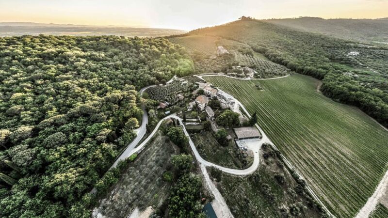 Trasimeno: Discovering Montemelino Wine Experience - Key Points
