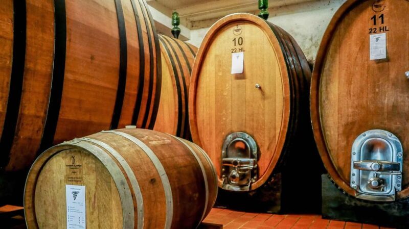 Trasimeno: Light Lunch, Oil, And Wine Experience - Final Thoughts
