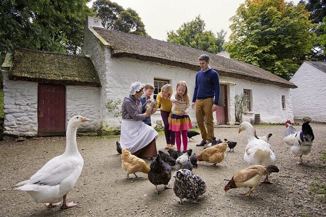 Travel and Experience the Emerald Isle. - Authentic Experiences and Honest Feedback