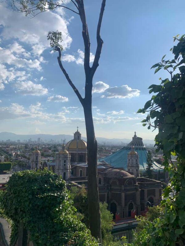 Travel through Teotihuacan, the Basilica, and enjoy a Mezcal tasting. - FAQ